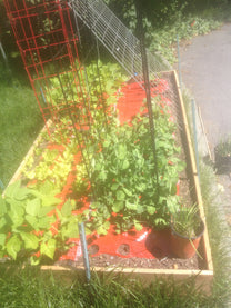 Beginner Vegetable Garden: Easy Irrigation & Weed Block – Flora-Flow LLC